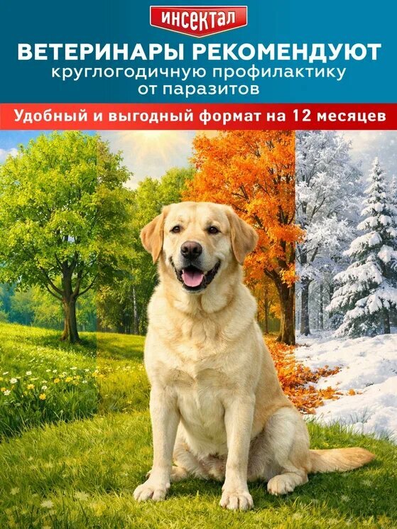 Капли Инсектал от блох и клещей для мелких пород собак и кошек от 2 до 4 кг, 6 шт. в уп, — фото 1