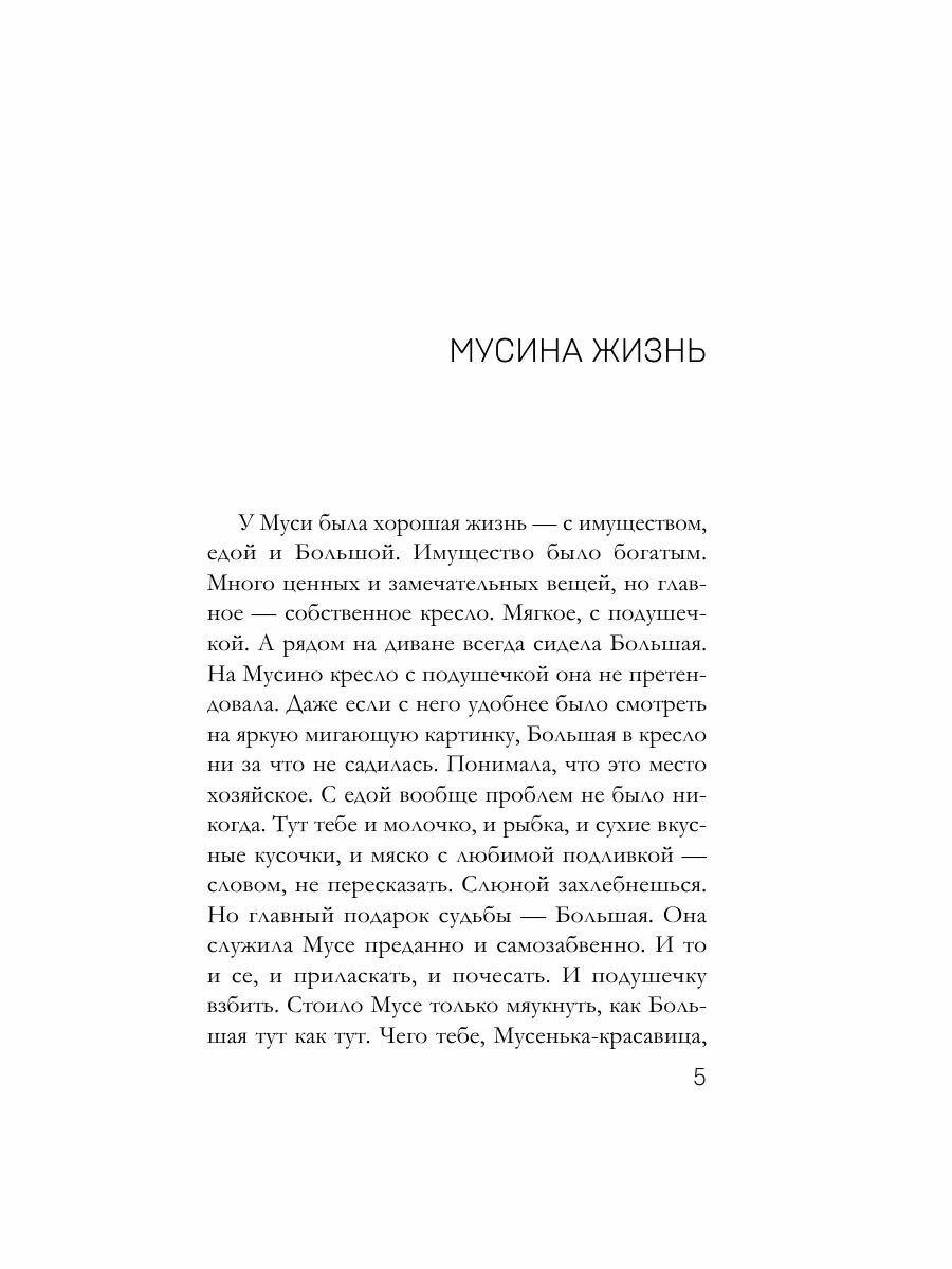 Брошь ЭКСМО — фото 1