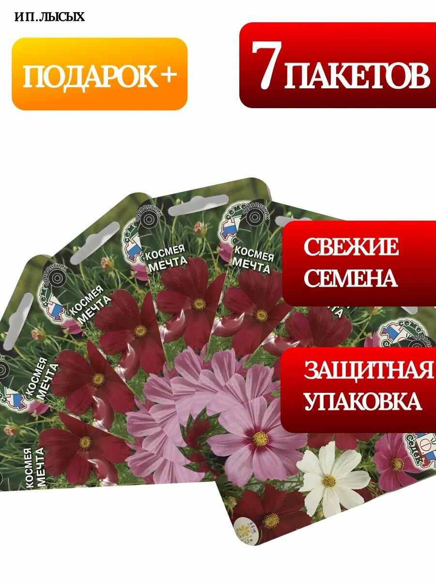 Семена Космея "Мечта"