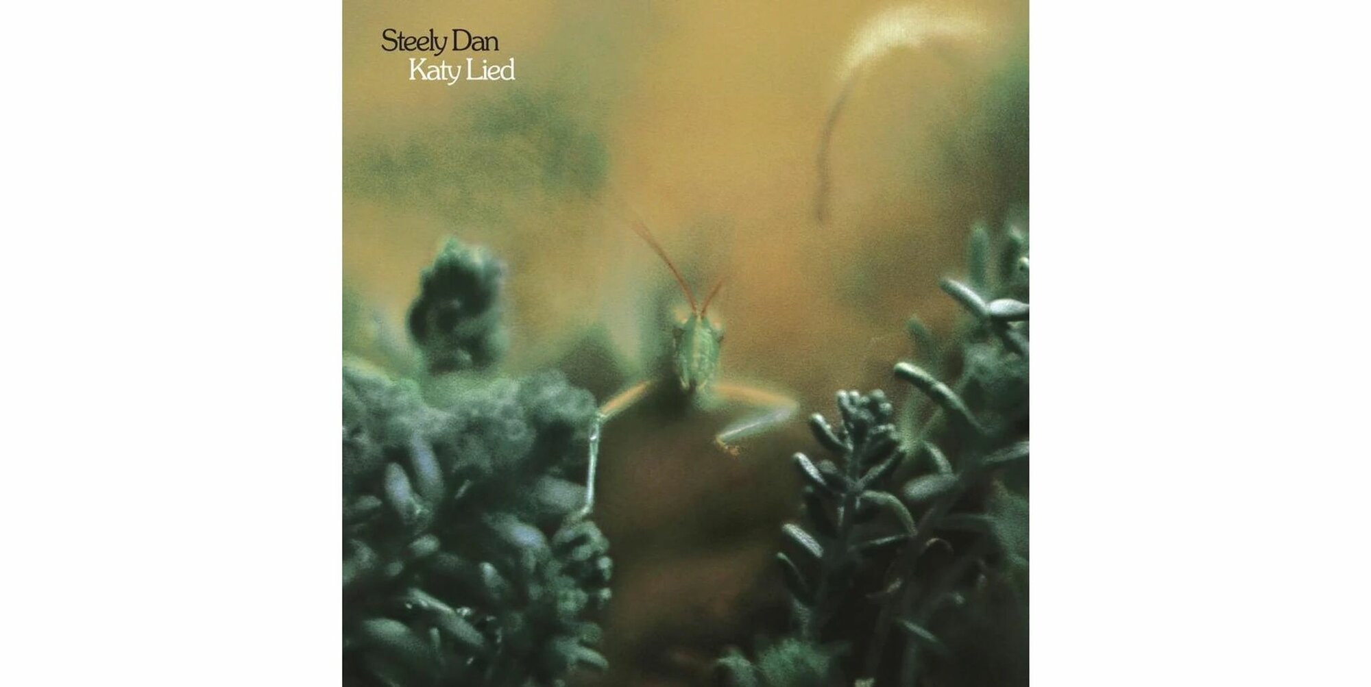 SACD диск Steely Dan - Katy Lied (SACD) 2025