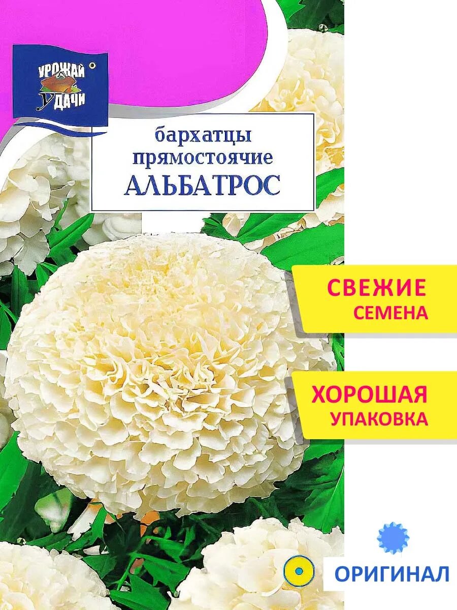 Семена бархатцев махровых белых «Альбатрос» – однолетники для сада, клумб и балконов