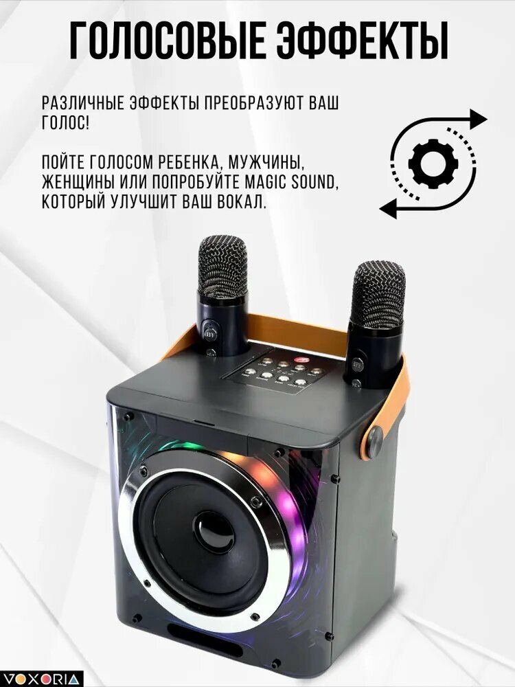 Караоке-система с Bluetooth, microSD, 2 микрофонами и пультом ДУ, черно-серебристая — фото 1