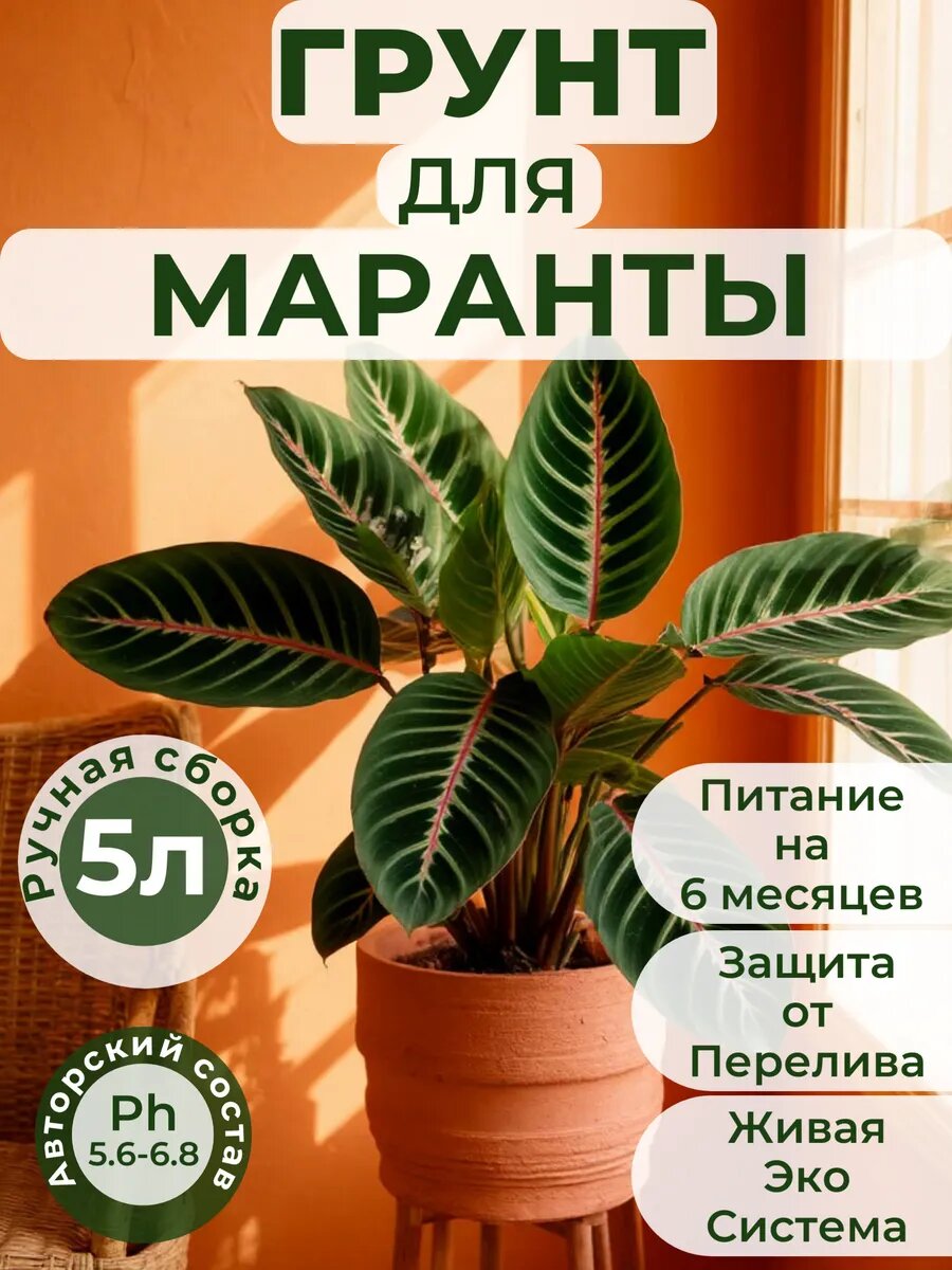 Готовый авторский грунт для Маранты, премиум 5 литров