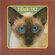 Blink-182. Cheshire Cat (виниловая пластинка) (LP)