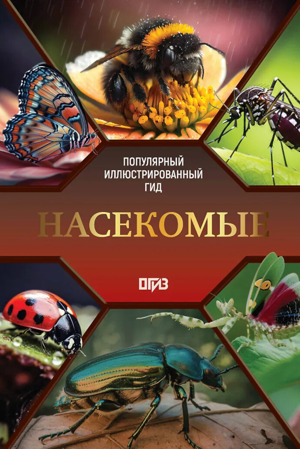 Насекомые. Иллюстрированный гид. Спектор А. А.