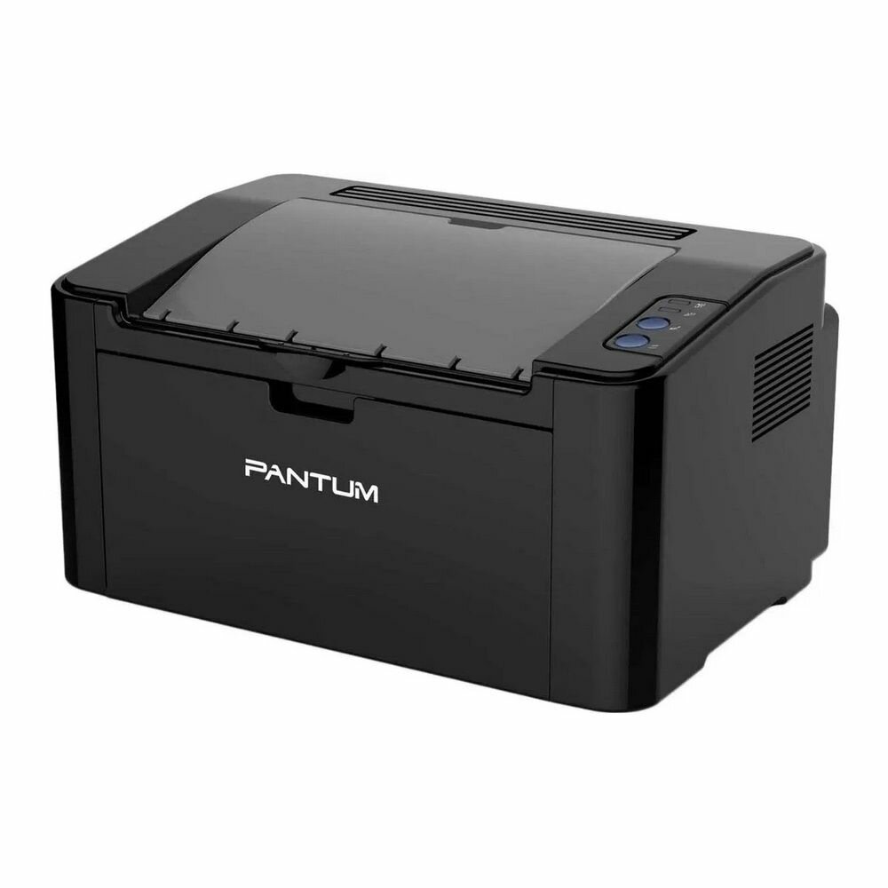 Pantum P2516 Принтер лазерный черно-белый, черный