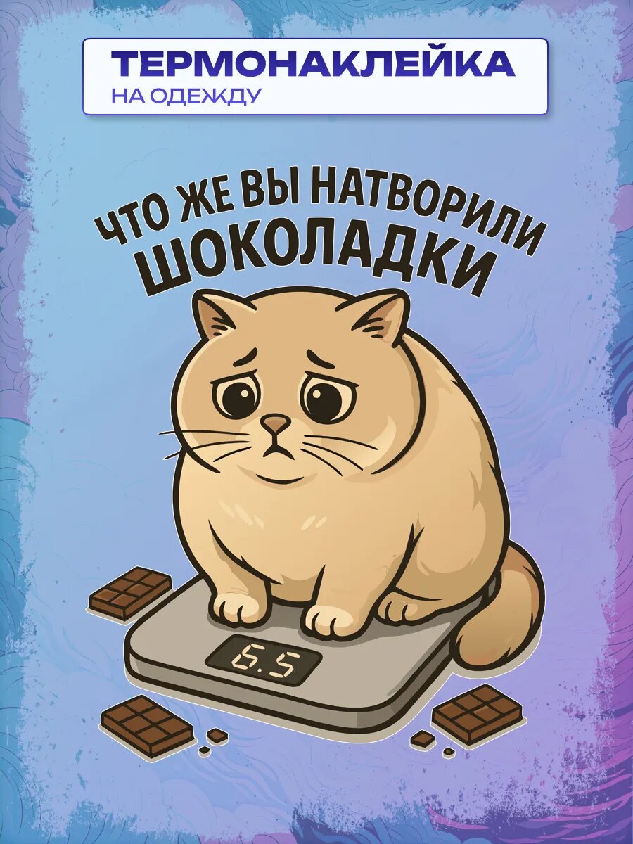 Термонаклейка с котом на весах и надписью