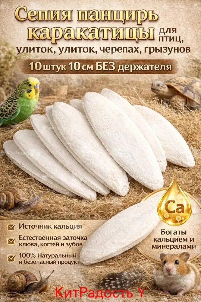 Сепия панцирь каракатицы для птиц, улиток, черепах, грызунов 12 штуки 8-10 см без держателя