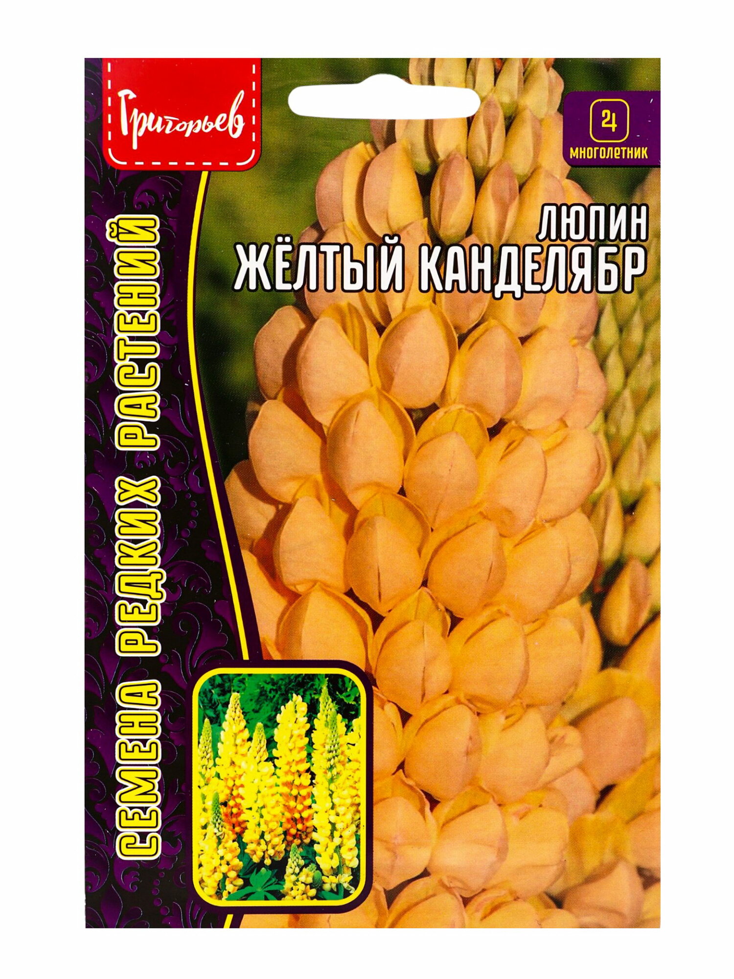 Семена цветов Люпин Жёлтый Канделябр многолетний 14 шт. 12.29 гр