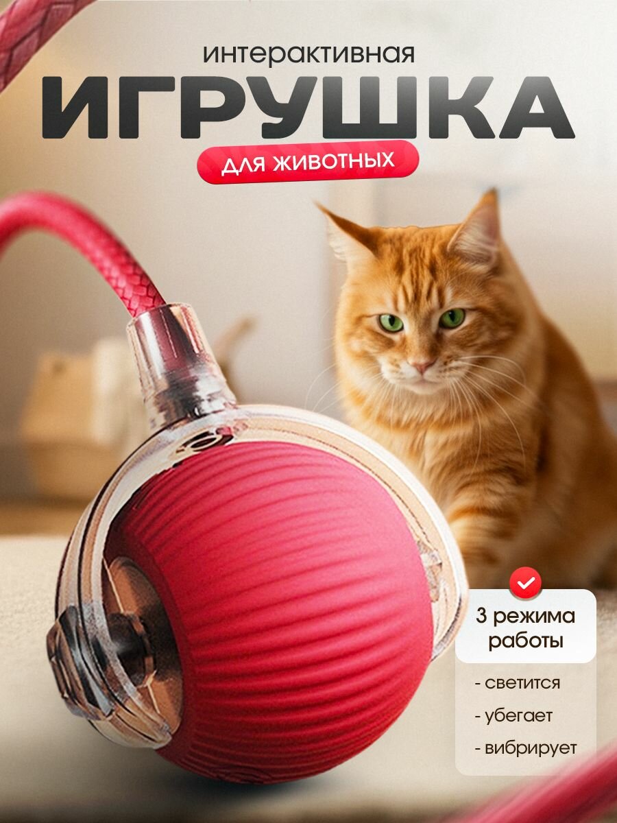 Игрушка для кошек интерактивная, умный мячик с хвостиком, дразнилка