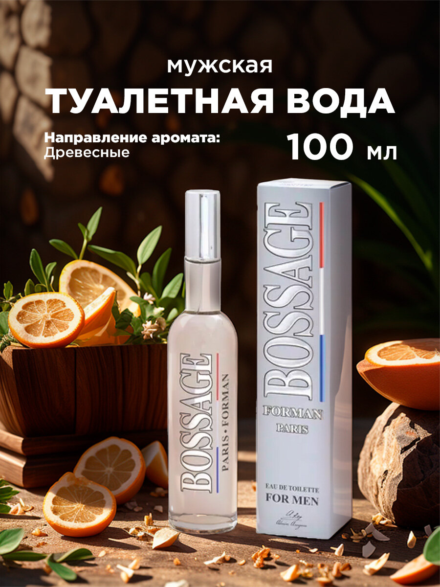 Туалетная вода Alain Aregon мужская Bossage Paris Forman 100мл