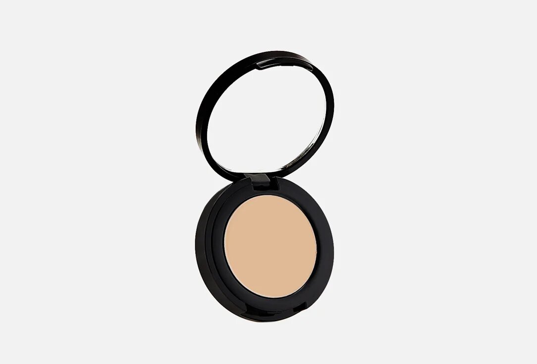 Radiant Professional Make-Up HIGH COVERAGE Кремовый консилер с высокой плотностью 3 мл 1, Слоновая кость