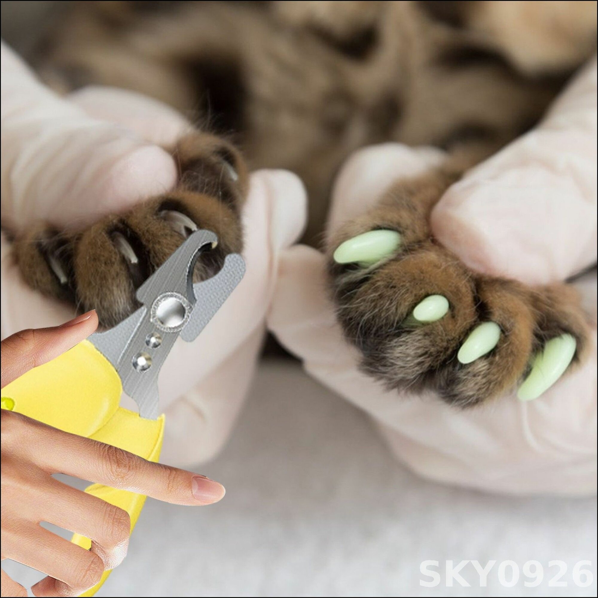 Cat Nail Clipper, Pet Nail Clippers для кошек , Когтерез