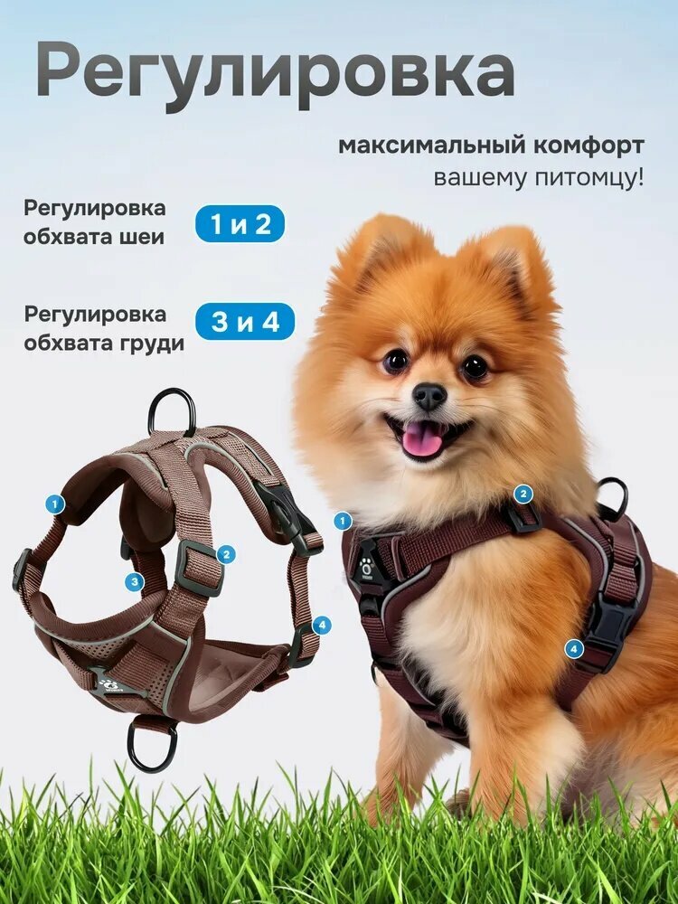 Шлейка — фото 1