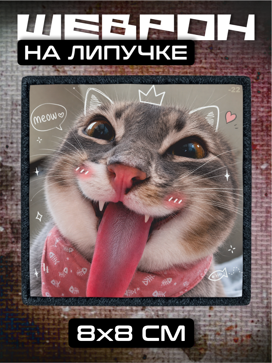 Шеврон на липучке Мем кот