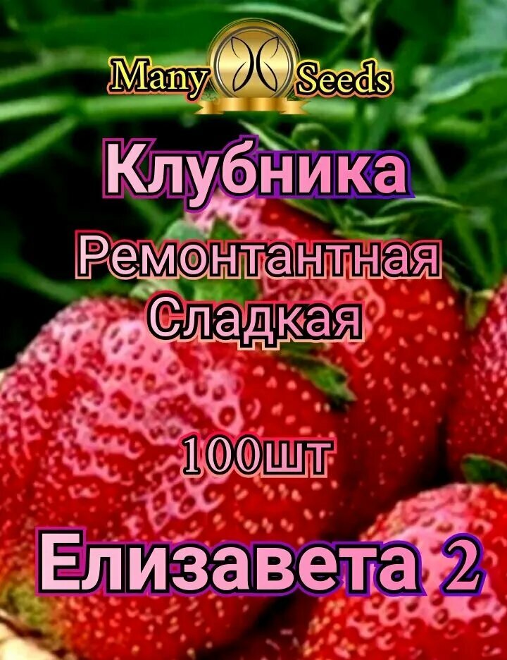Семена ,100шт