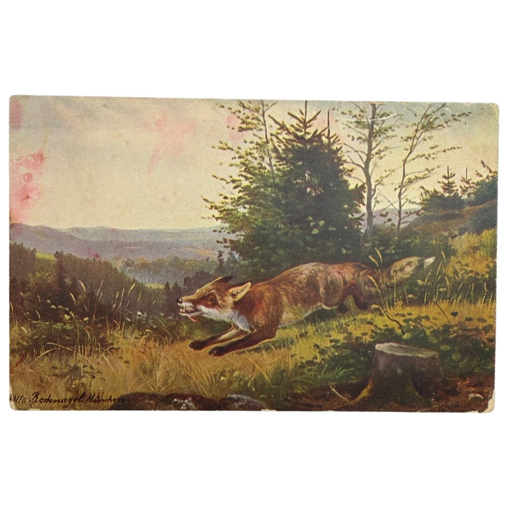 Почтовая открытка "Убегающая лисица" 1900-1917 гг. Германская Империя