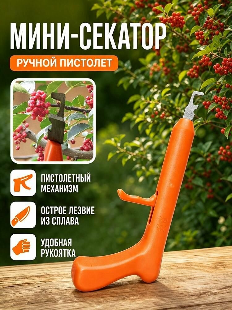 Инструменты для сбора ягод