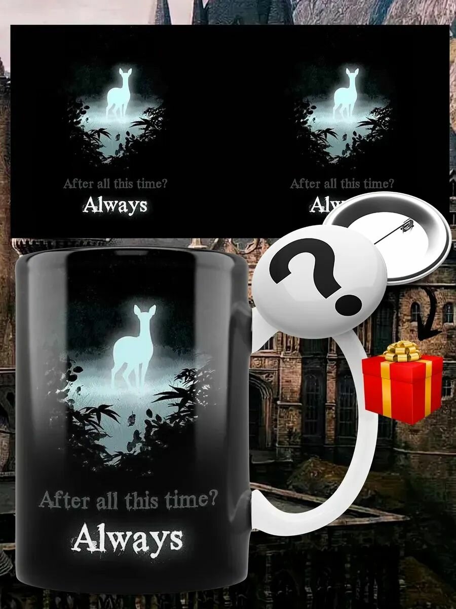 Кружка Harry Potter, Гарри Поттер