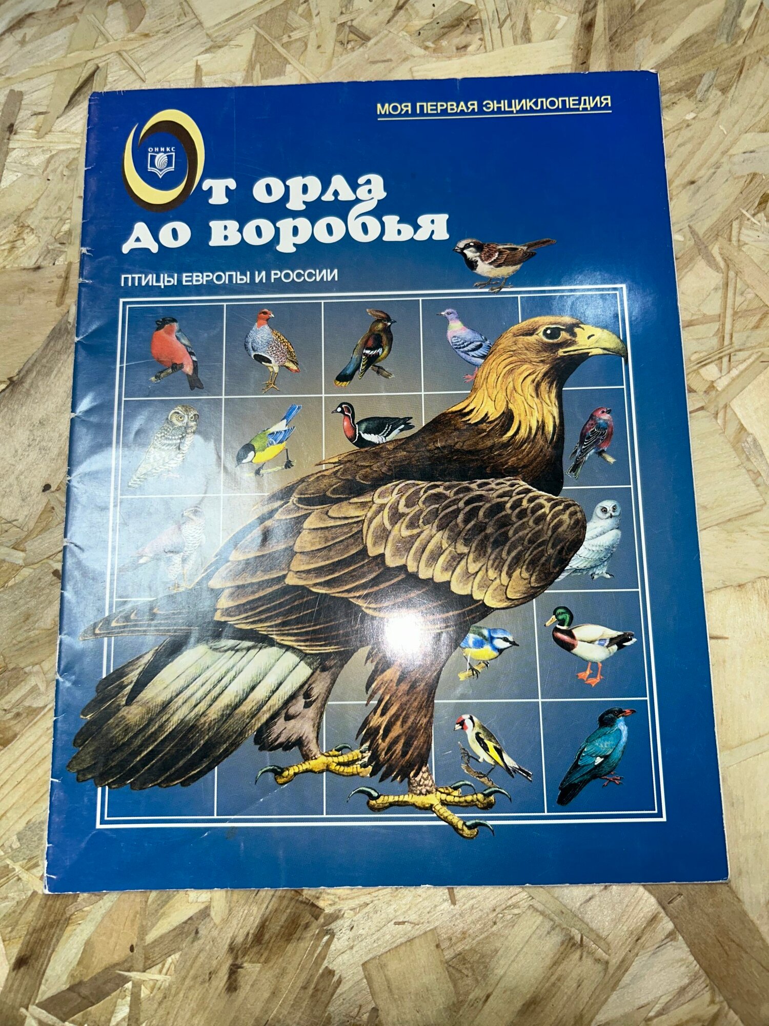 От орла до воробья. Птицы России и Европы