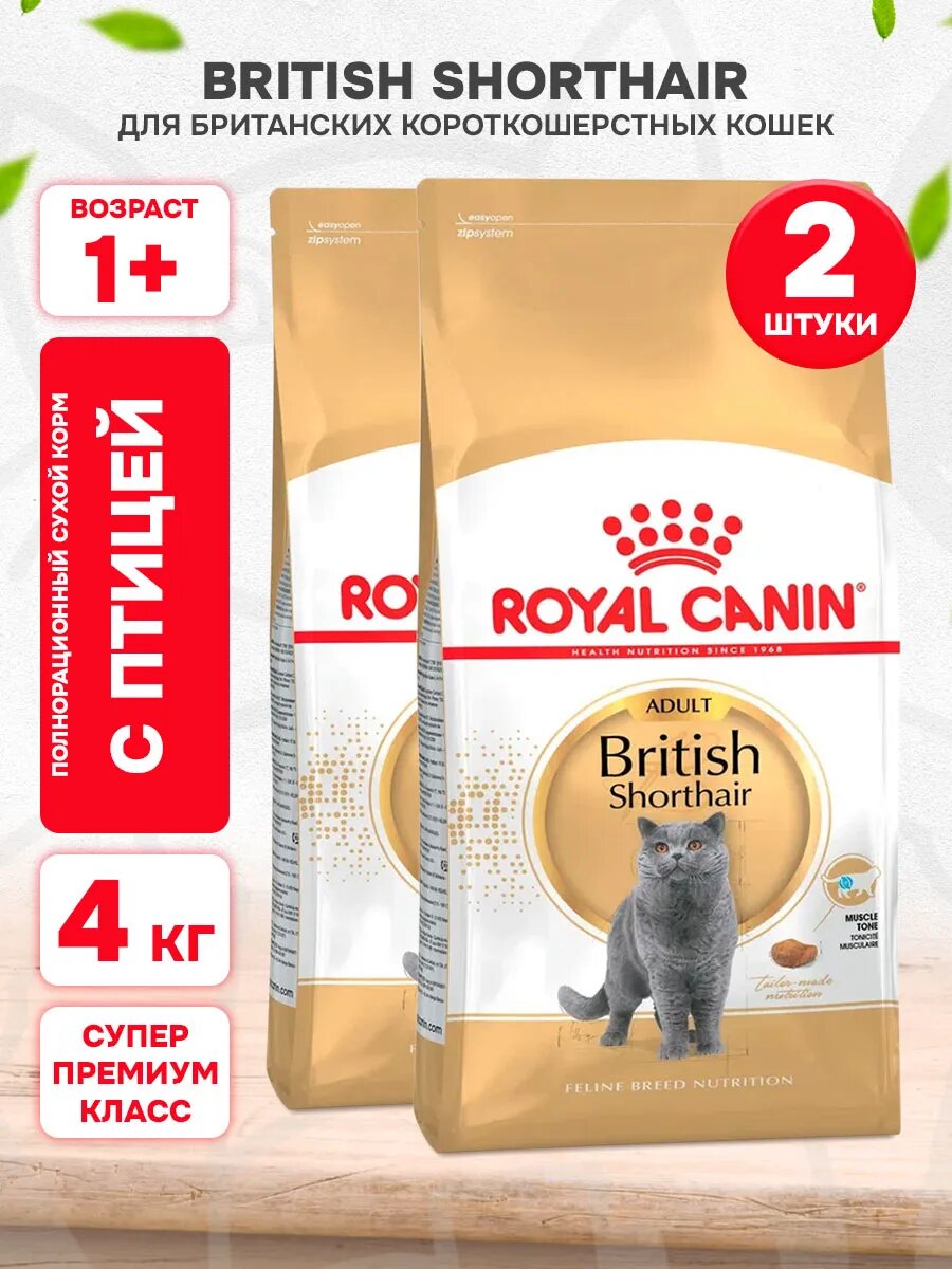 Корм сухой Royal Canin British Shorthair Adult для взрослых британских короткошерстных кошек, 4 кг х 2 шт