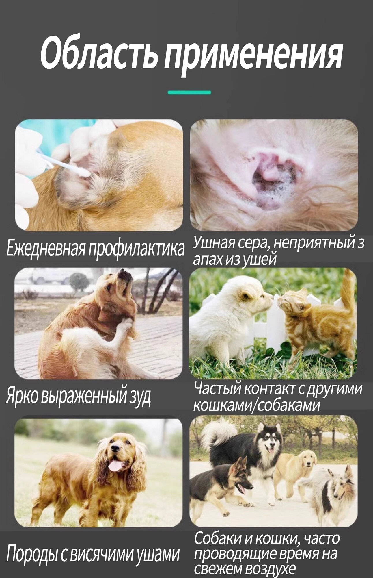 Спрей от ушных клещей для кошек, собак и кроликов