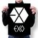 Плакат EXO №3, А2