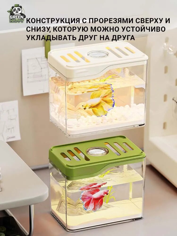 Аквариум для петушка — фото 1