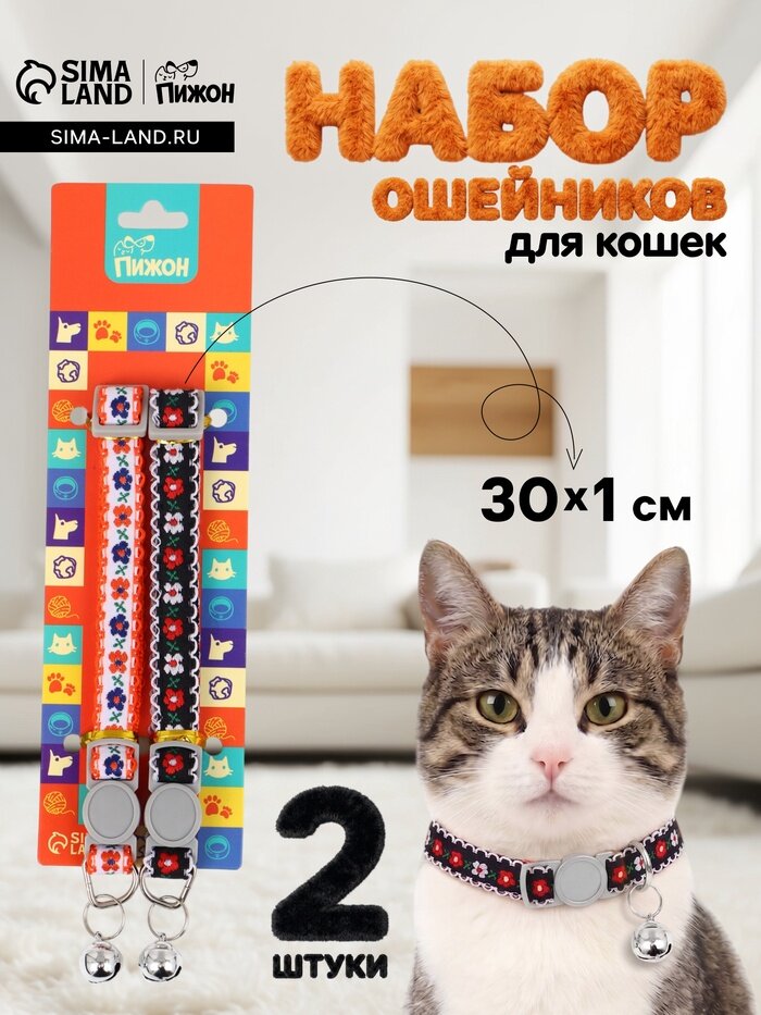 Набор ошейников для кошек «Пижон. По-полюшку», 30×1 см, оранжевый, чёрный