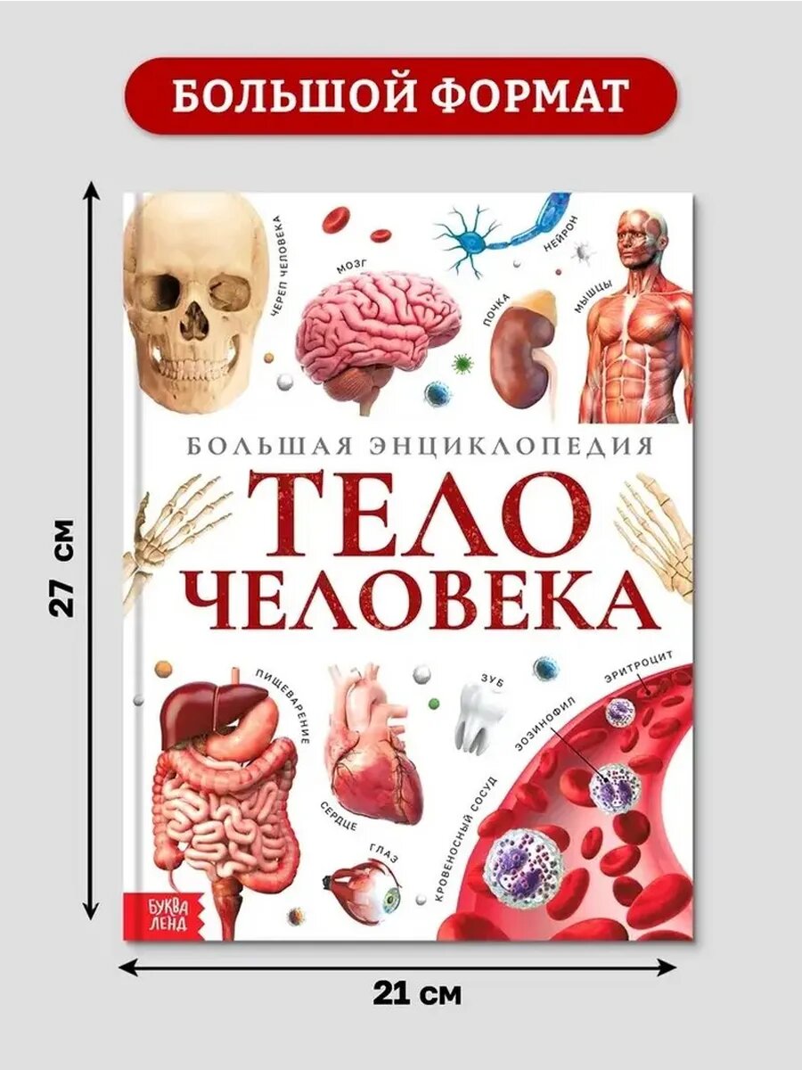 Энциклопедия по анатомии для детей и подростков