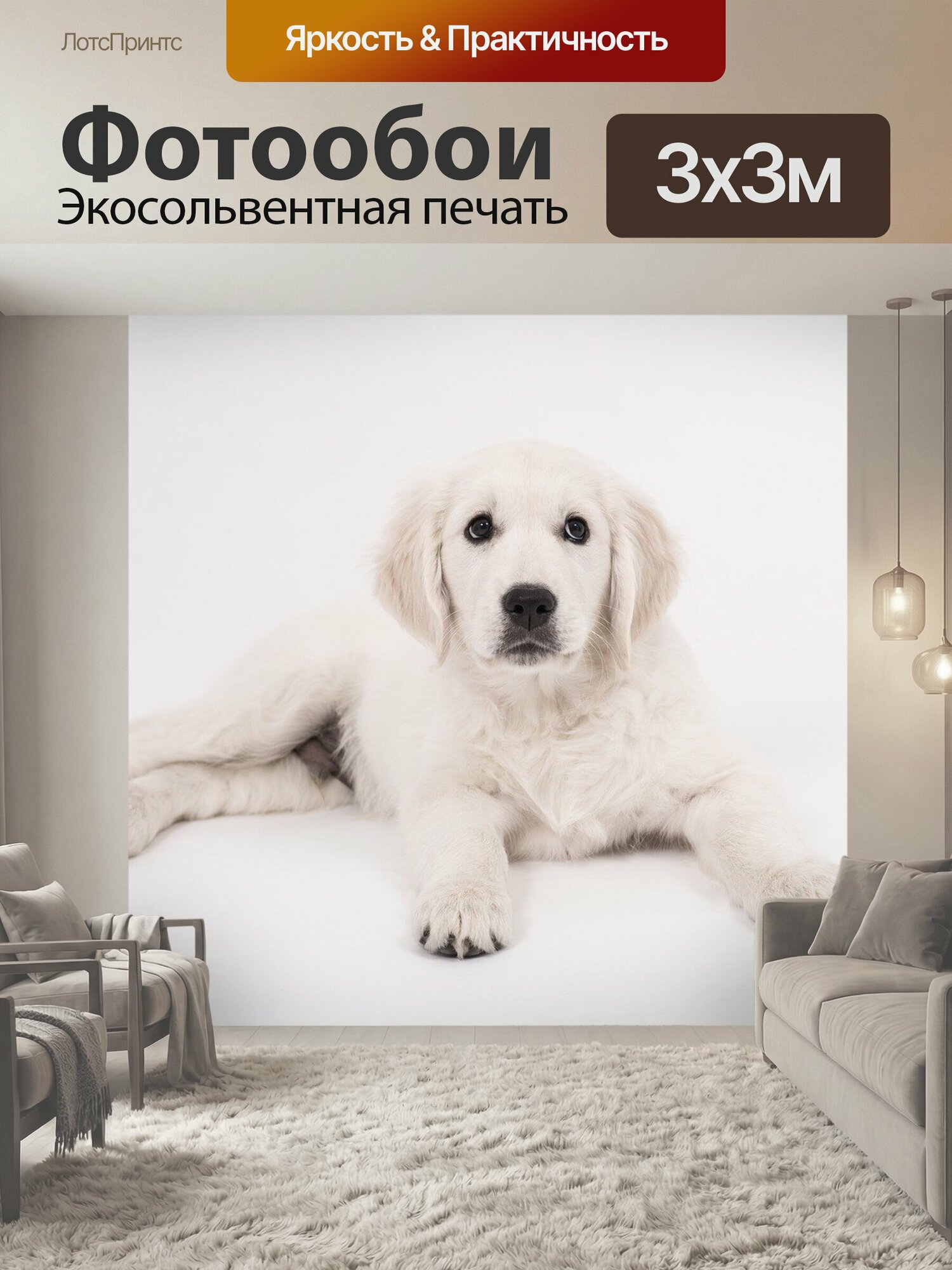Фотообои "Собака, золотистый ретривер, щенок" 300x300 см. экосольвентная печать