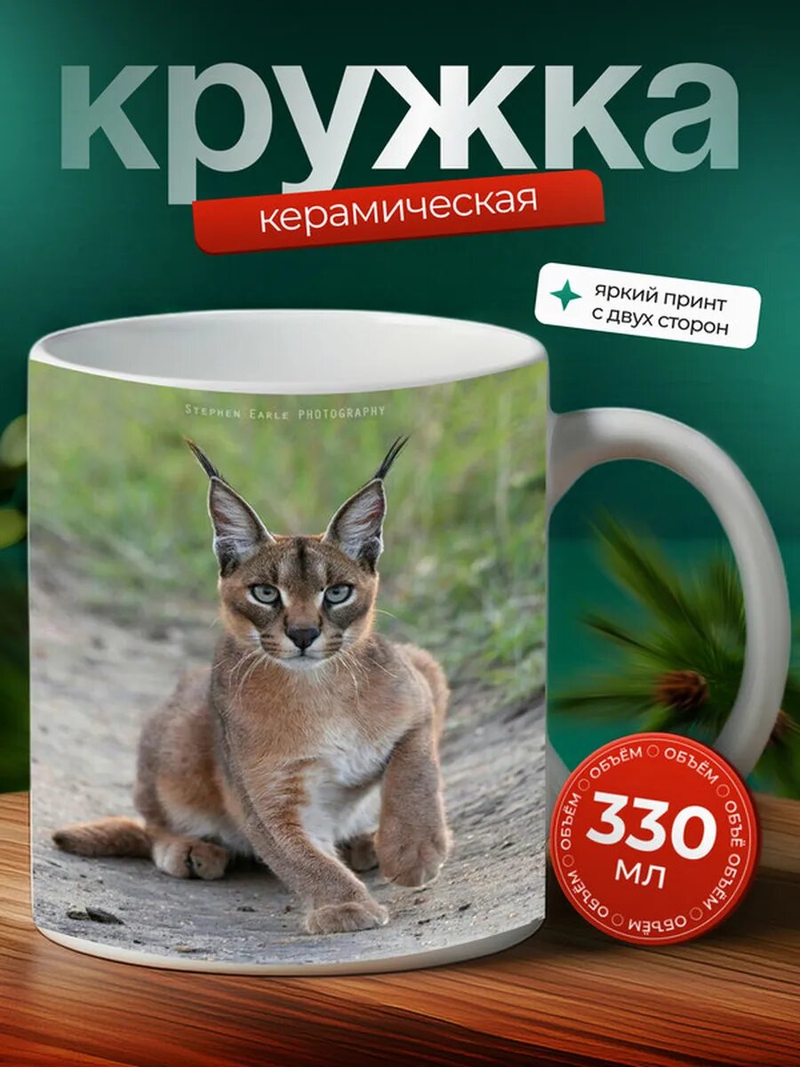Кружка Камчатский крабовый кот 35,
