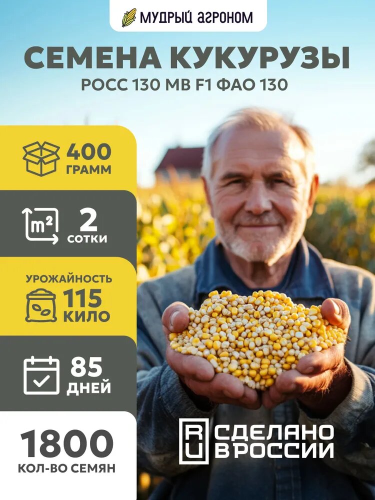 Семена кукурузы - РОСС 130 МВ 130 - Гибрид F1 для посадки