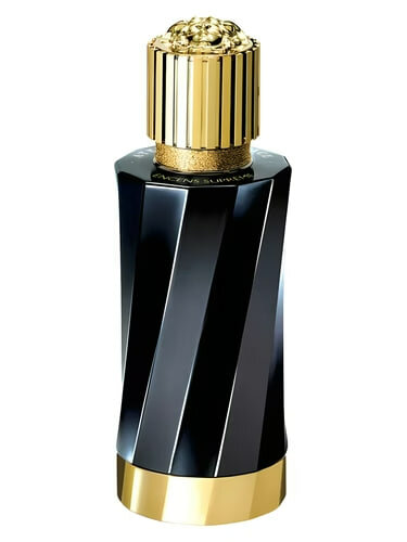 VERSACE ENCENS SUPREME 100мл  парфюмированая вода  (Унисекс)