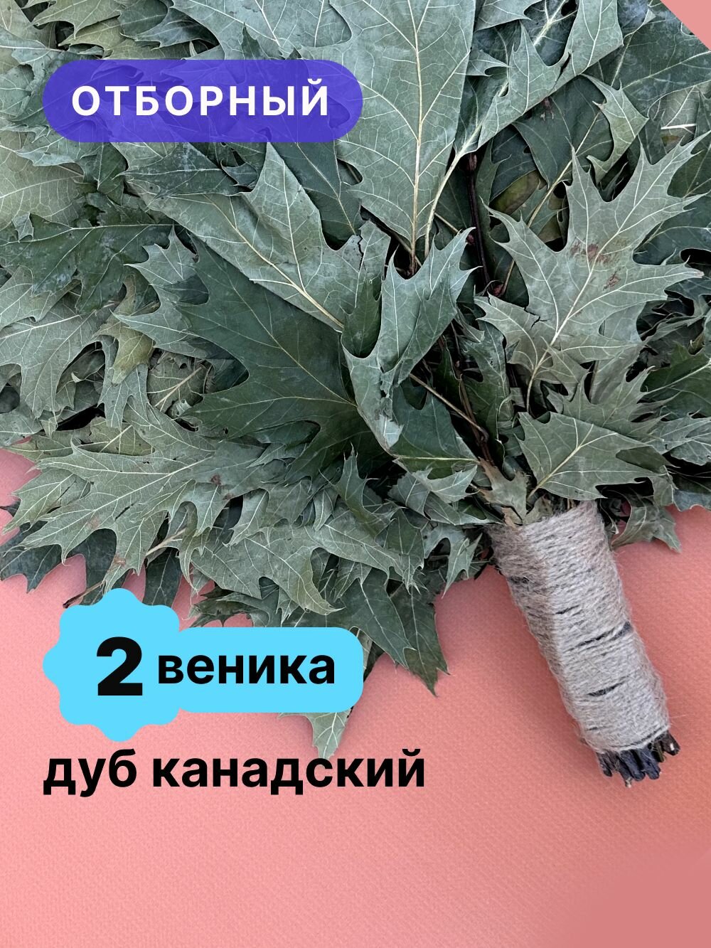 Веники банные дубовый канадский. 2 шт. Волковские технологии. В картонной коробке.