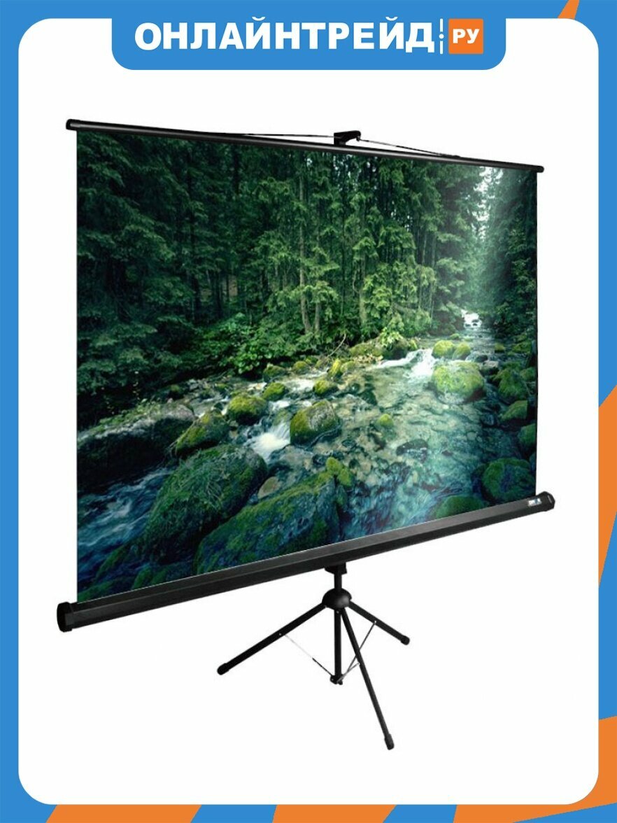 Экран Cactus 165x220см TriExpert CS-PSTE-220x165-BK 4:3 напольный рулонный черный