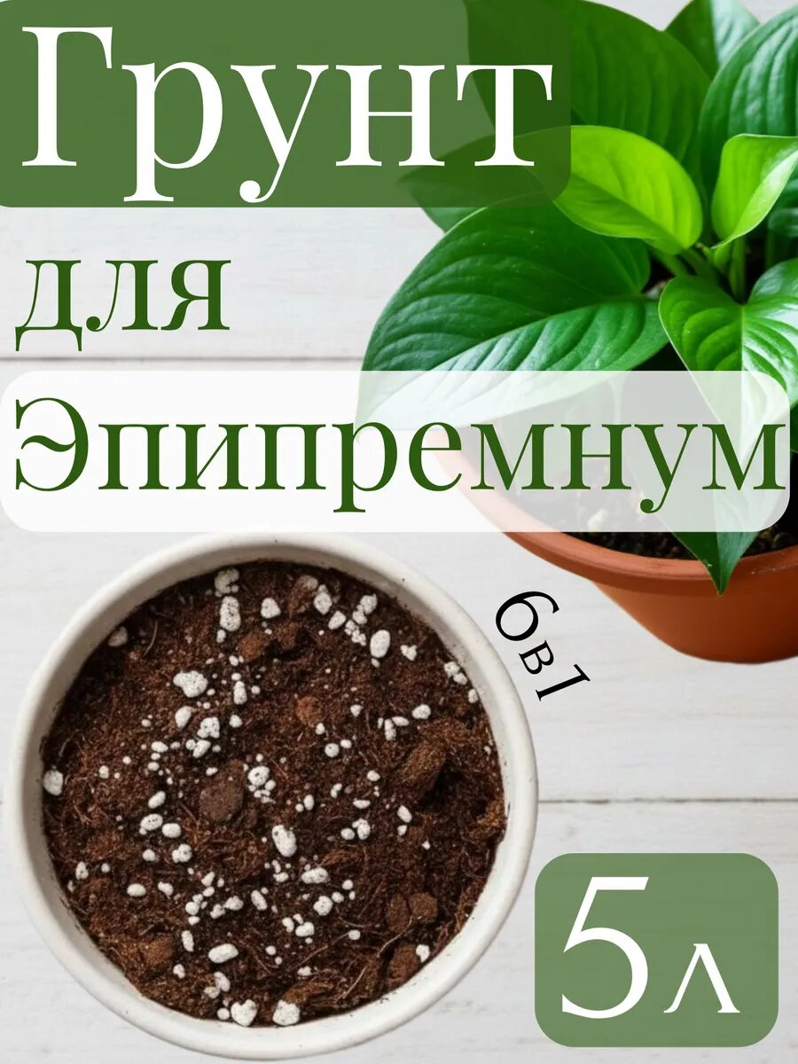 Готовый грунт для Эпипремнум 5 литров