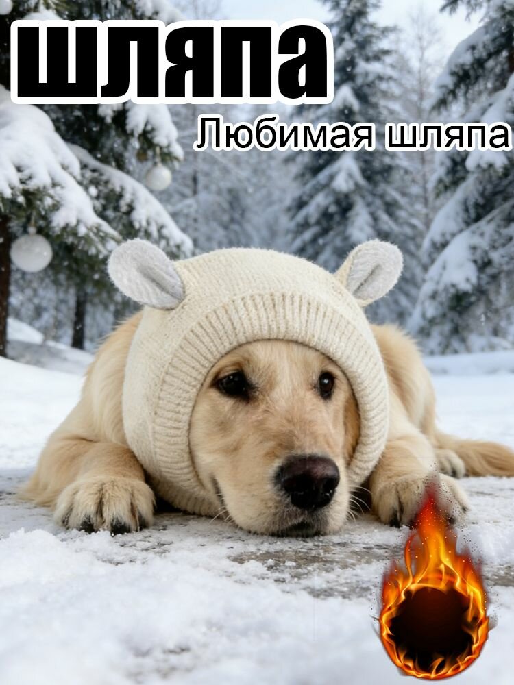 Шапка для собак: теплая зимняя шапочка для питомца