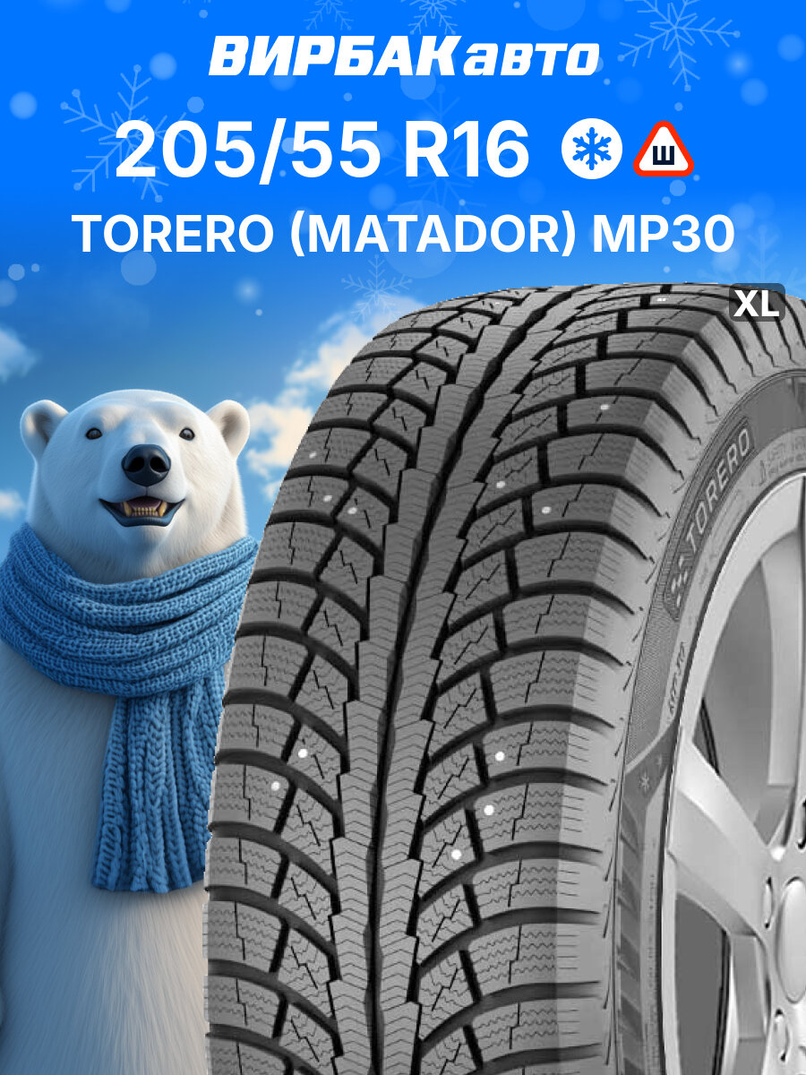 Зимние шины TORERO MP30 205/55 R16 94T XL, зимняя автомобильная резина