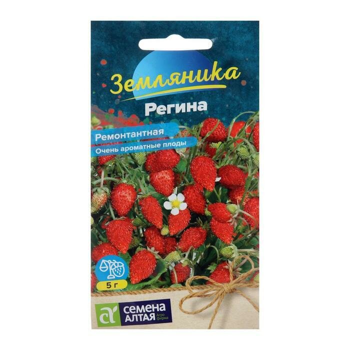 Семена Земляника 'Регина', ремонтантная, Сем. Алт, ц/п, 0,04 г