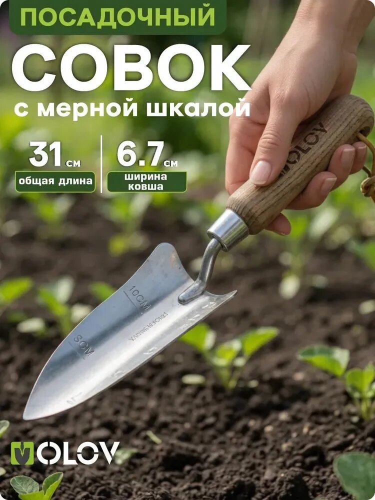 Совок садовый, Нержавеющая сталь