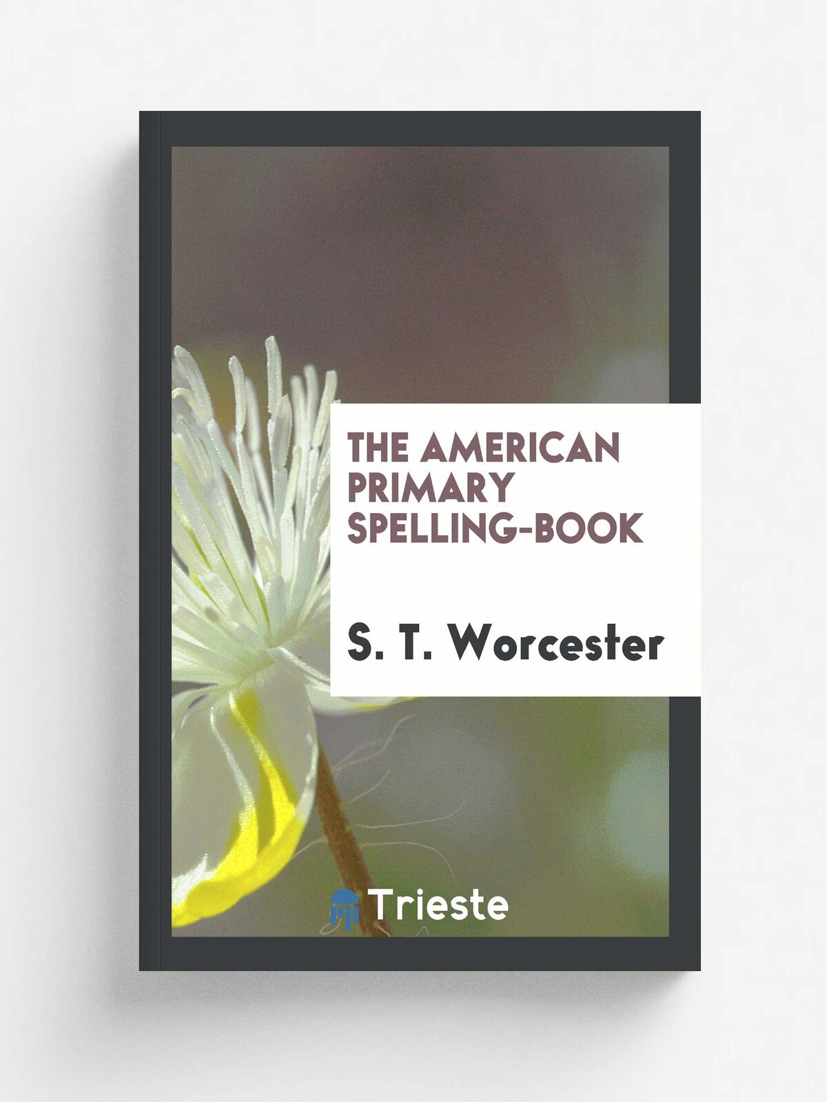 The American Primary Spelling-Book