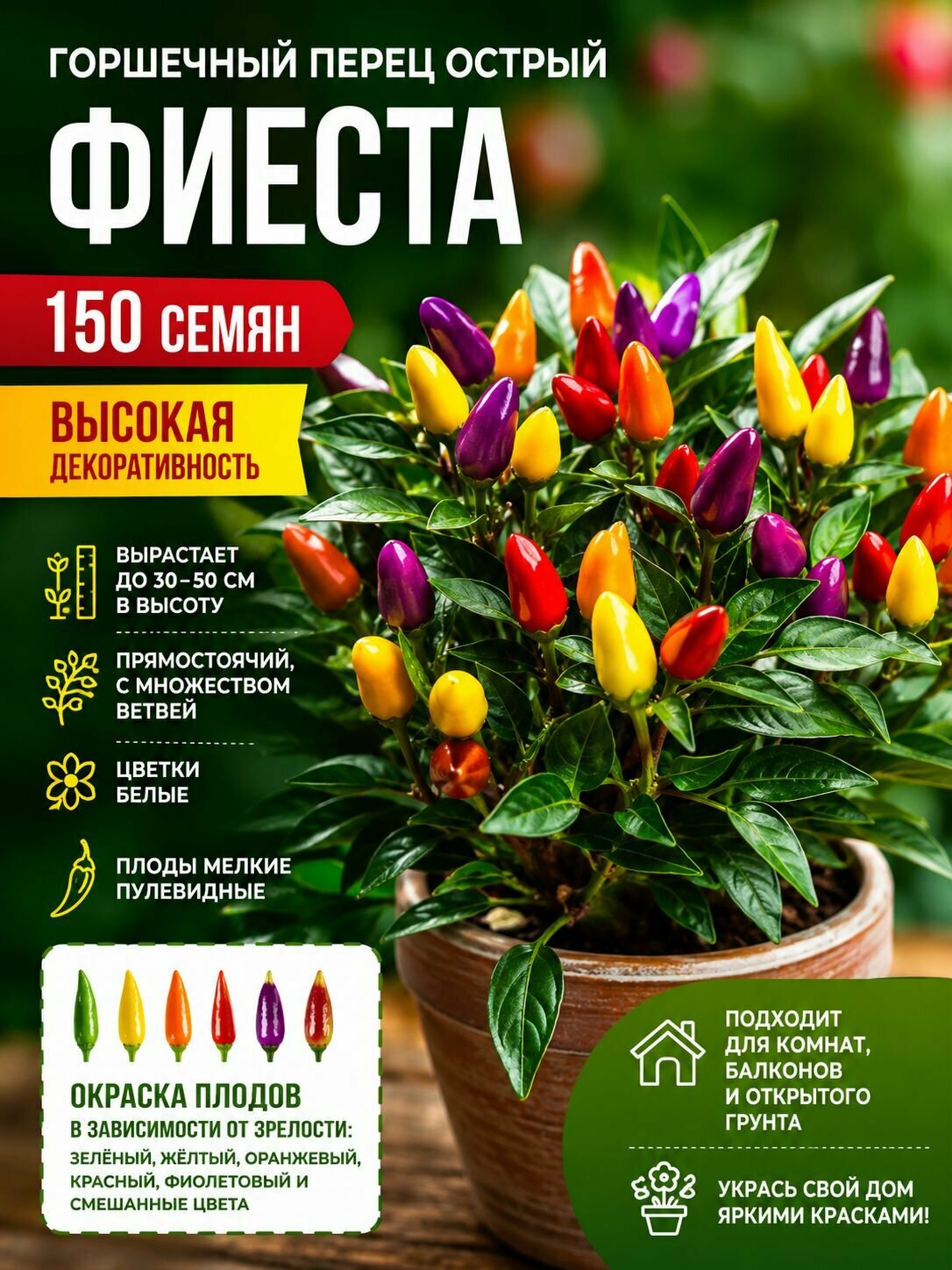 Семена китайский горшечный острый перец Фиеста 150 семян. Разноцветные плоды, для комнаты и открытого грунта