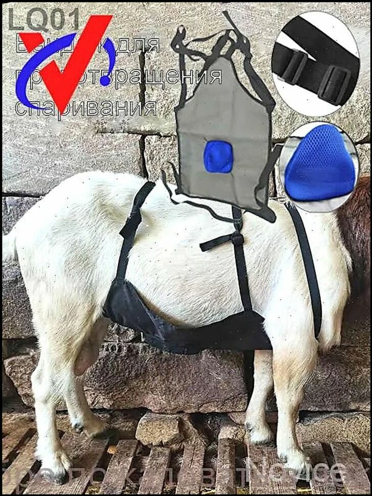 Фартук для козла
