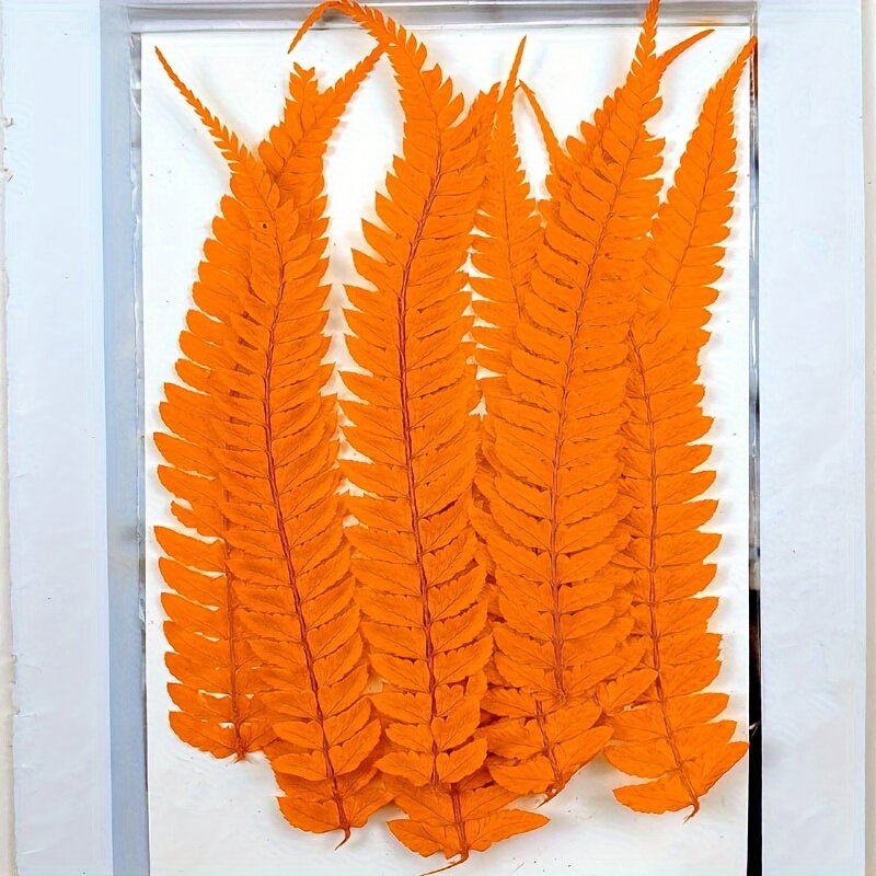30 стабилизированных листьев папоротника для творчества и декора: создание композиций, украшение чехлов, закол