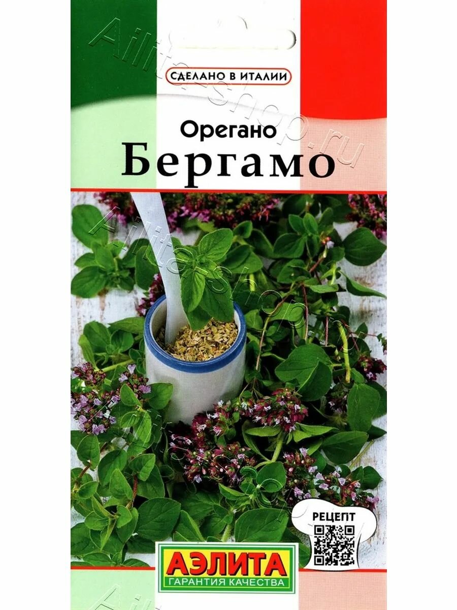 Семена "Орегано Бергамо"
