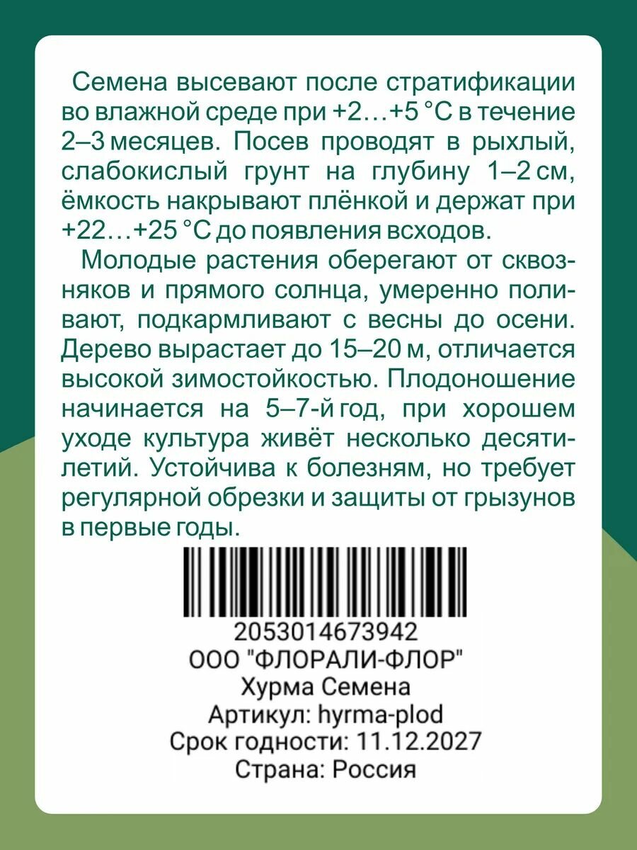 Хурма Семена — фото 1