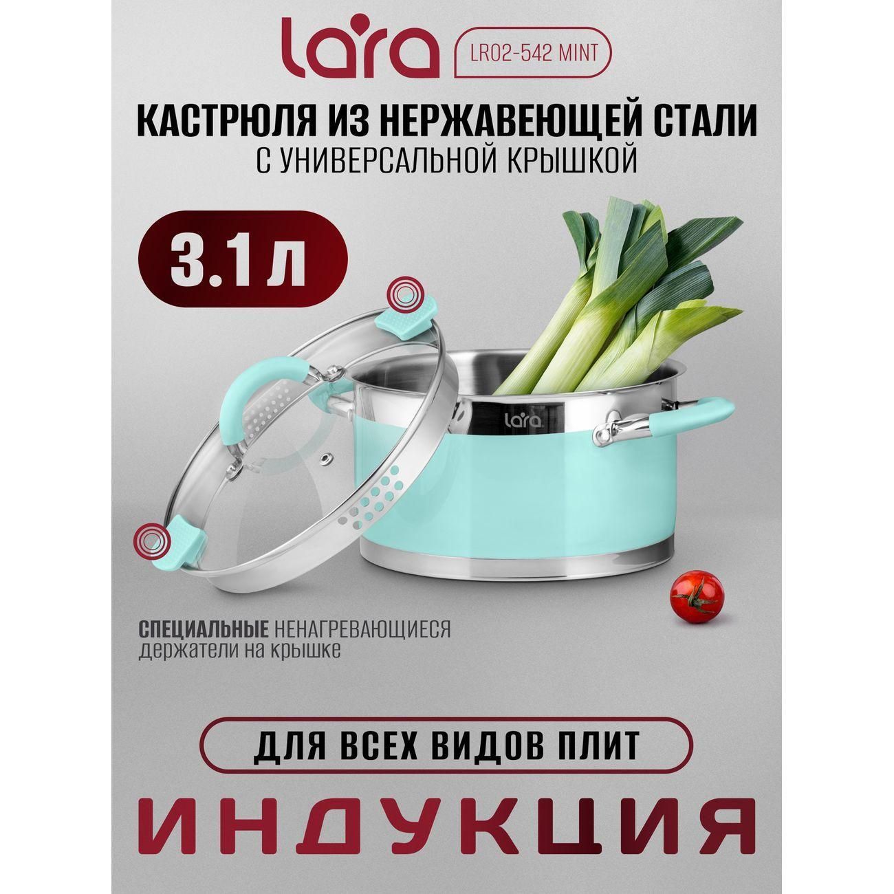 Кастрюля Lara MINT 20x11см, 3,1л (LR02-542)