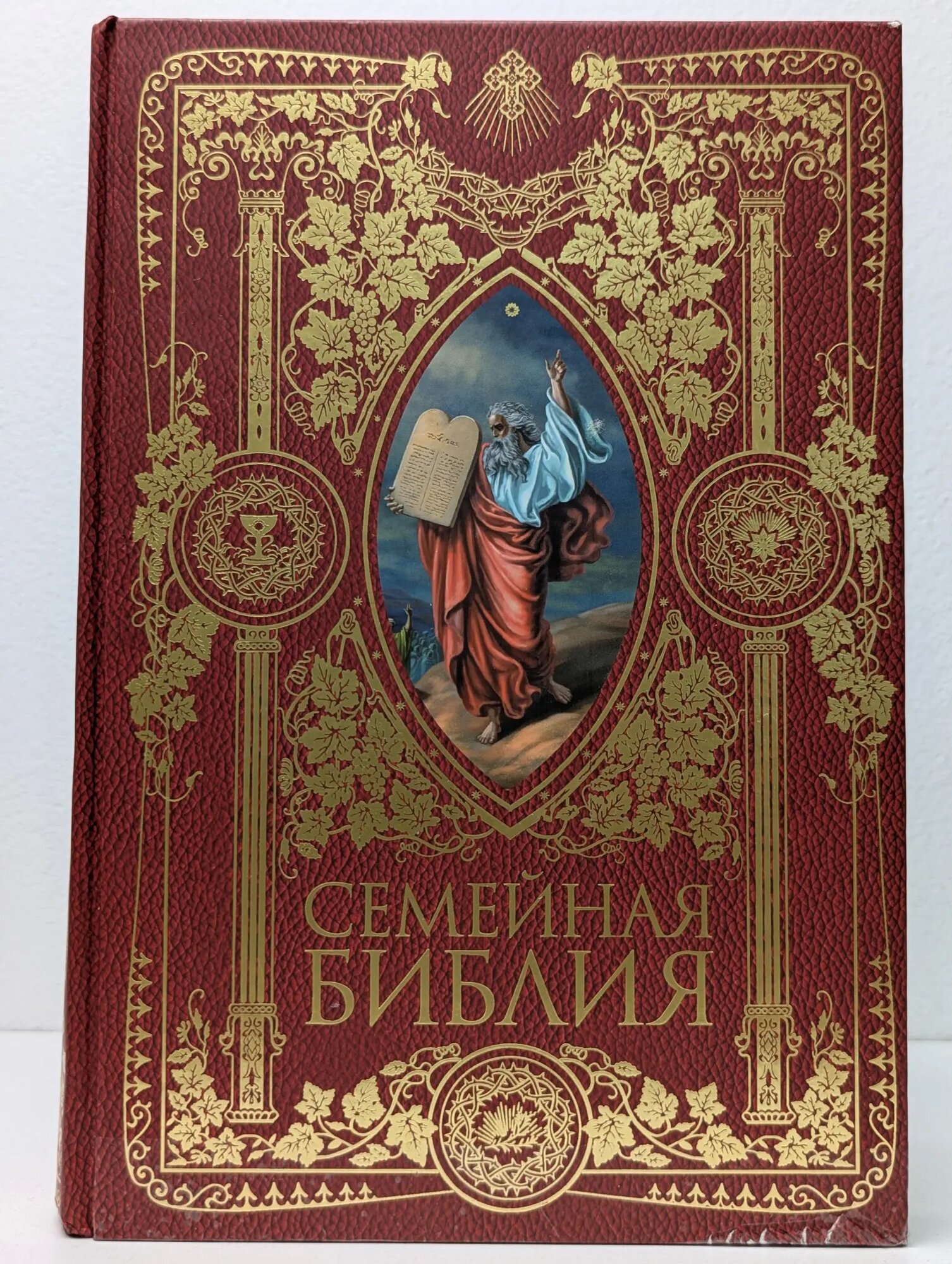 Семейная Библия. Рассказы из Священной истории Ветхого и Нового Завета Дестунис Софья (сост.) 2019