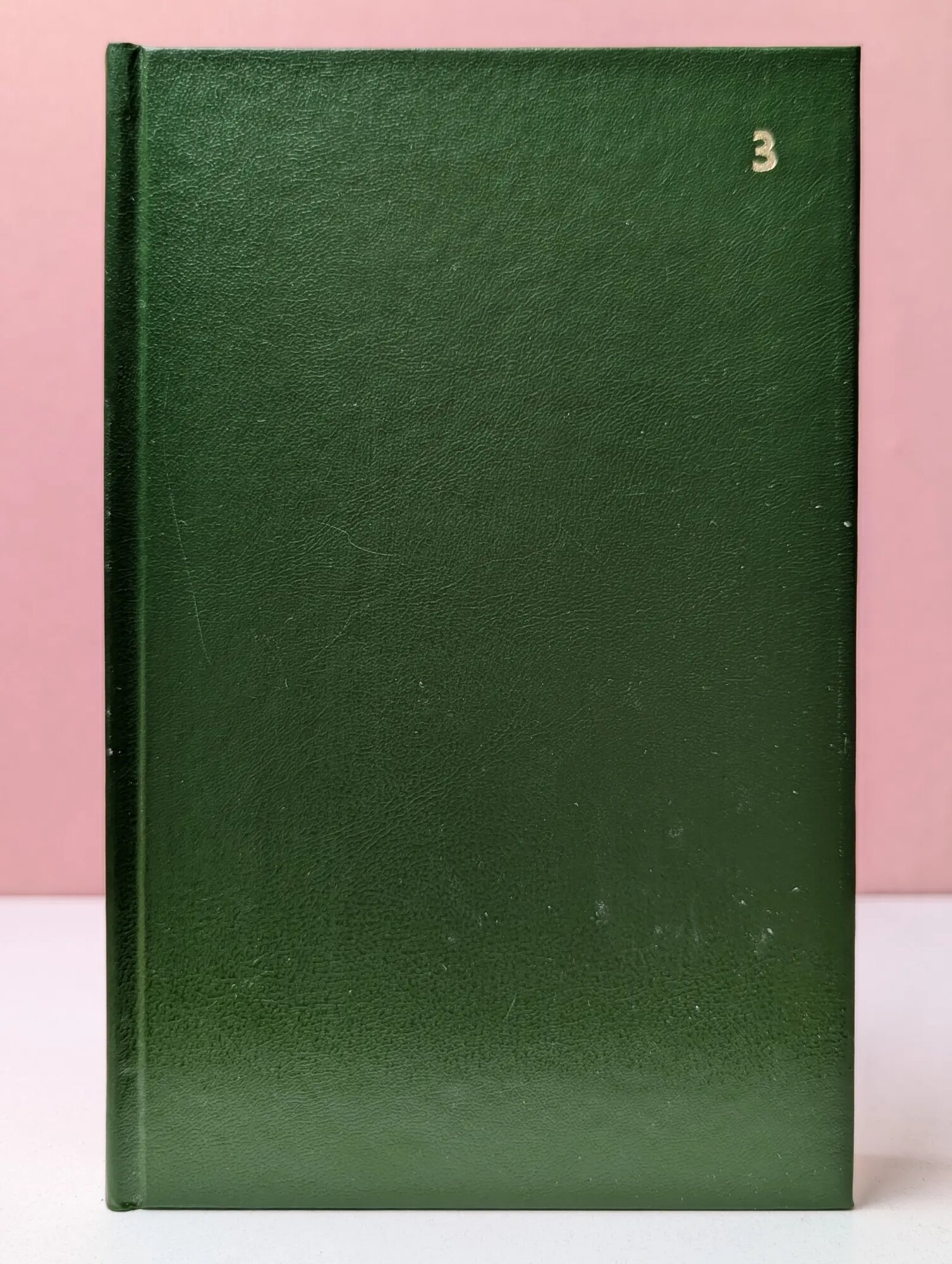 Русский иронический детективный роман. Наследник из пробирки Медведева Кира Александровна 1998